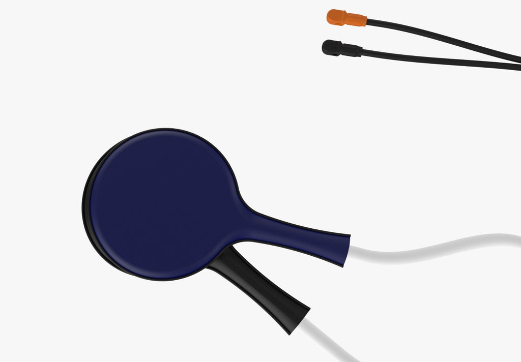 PEMF Equine Therapy - Dual-Paddle